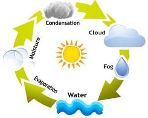 What Is Fog Made Of? (Types, Causes, Formation) - JournalHow