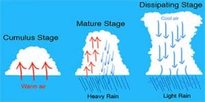 How Does A Thunderstorm Form? (Types, Structure, Facts) - JournalHow
