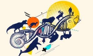 What Are The Mechanisms Of Evolution? - JournalHow