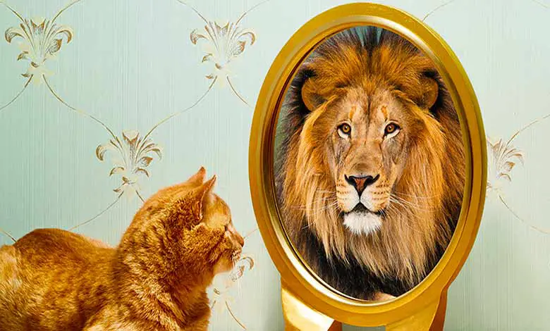 What Is Pygmalion Effect Psychological Experiment JournalHow