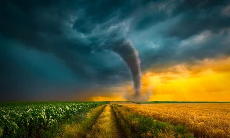 What Is A Dust Storm? (Causes, Effect, Example, Safety) - JournalHow