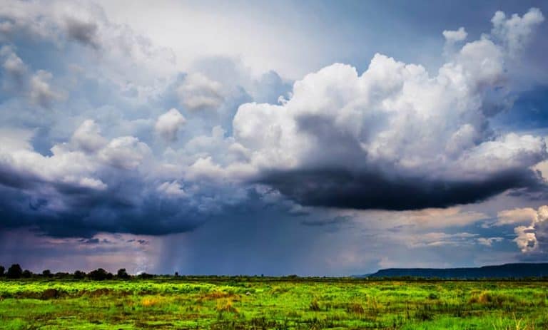 How Bacteria Make Rain? (Bioprecipitation) - JournalHow