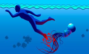 How Does Jellyfish Sting? - JournalHow