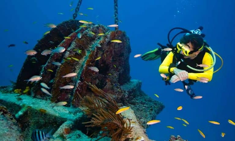 How Do Undersea Internet Cables Work? - JournalHow